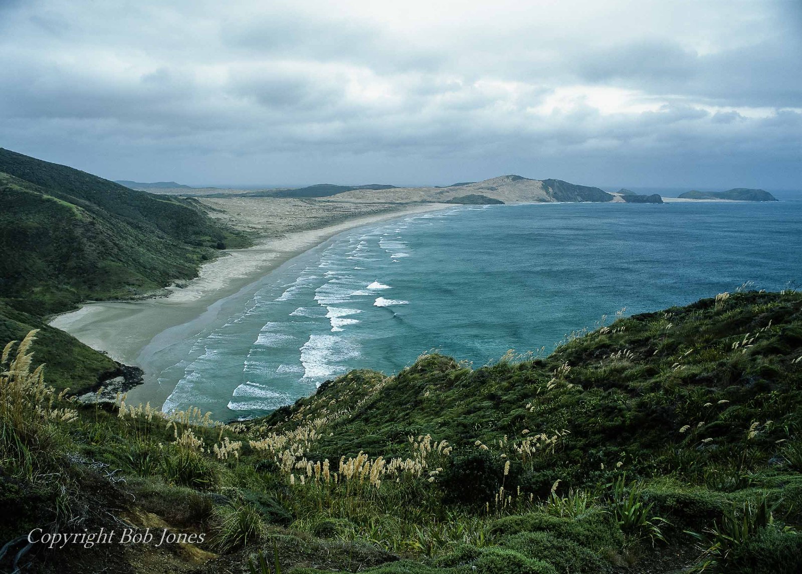 Coastal, New Zealand
